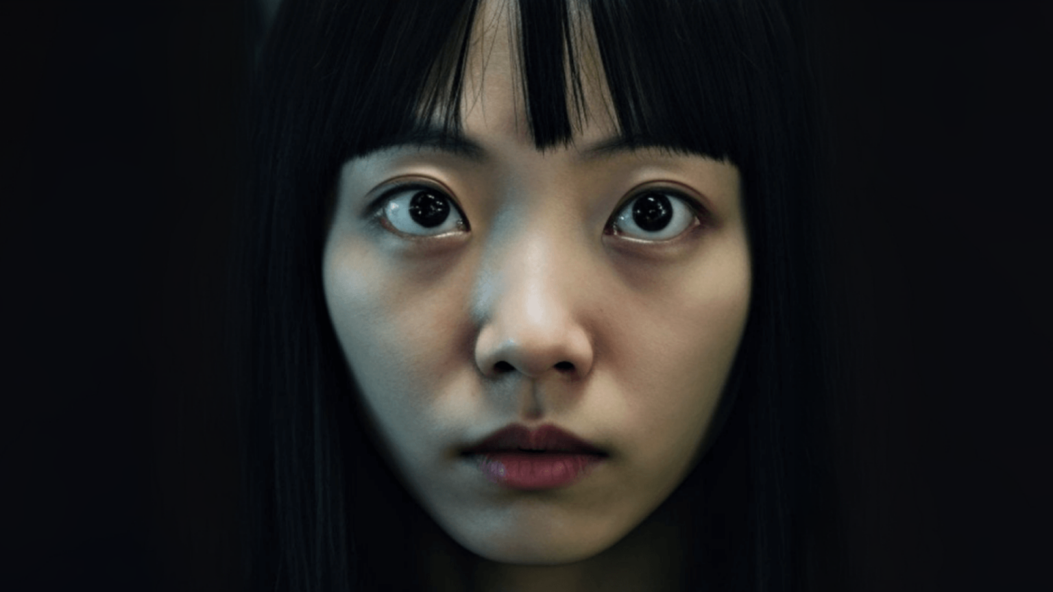 Dark Arts – HRF x The Signal - Human Rights Foundation