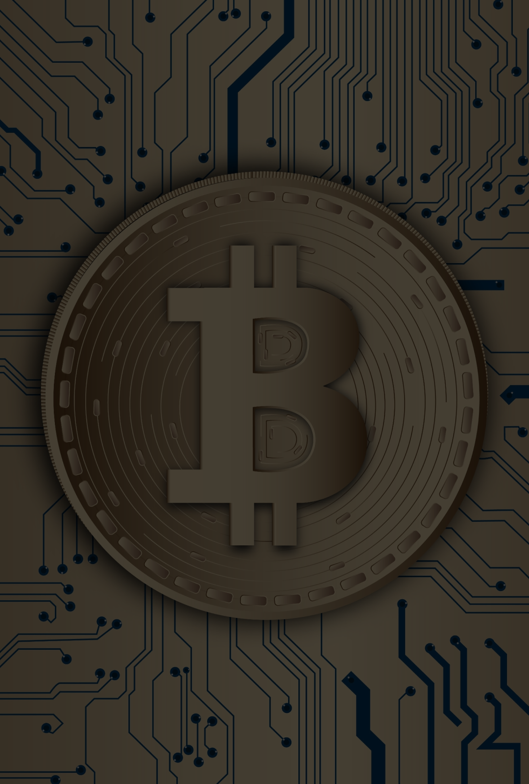 Bitcoin Development Fund - Human Rights Foundation